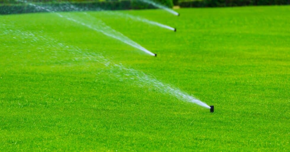 Spring Sprinkler System Tune-Up: Your Essential 4-season Guide for ...